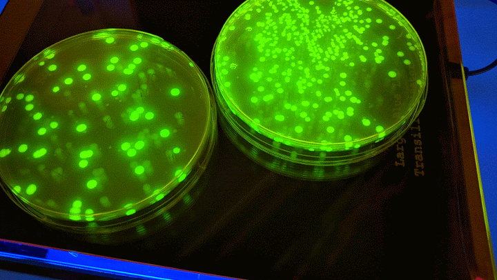 Making Science in Boston more accesible, one DIY Biotech Lab at a time ...