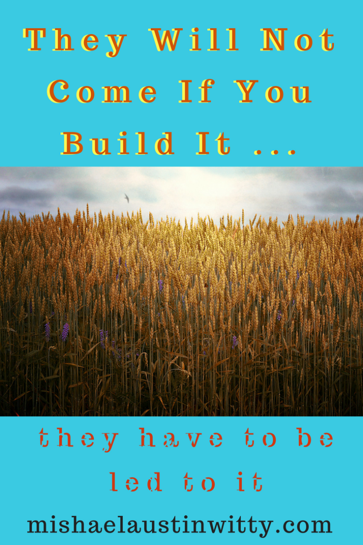 They Will Not Come If You Build It … Someone Has to Lead Them to It ...