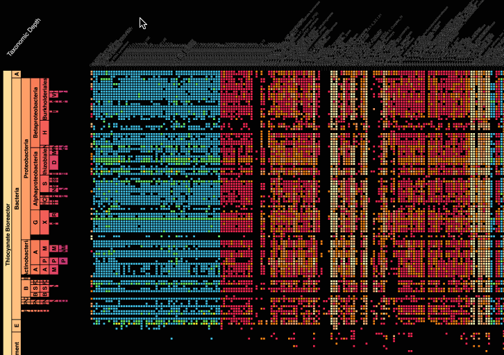 New images of complex microbiome environments visualized by Berkeley Metagenomics Lab and Stamen ...