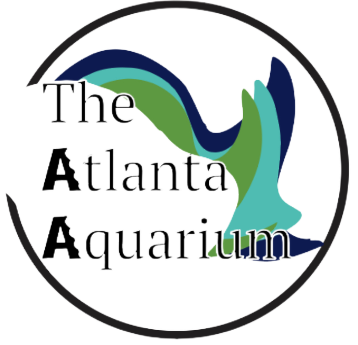 Atlanta Aquarium Brand and Style Guide — Case Study | by Jack Duffey | Jul, 2024 | Medium