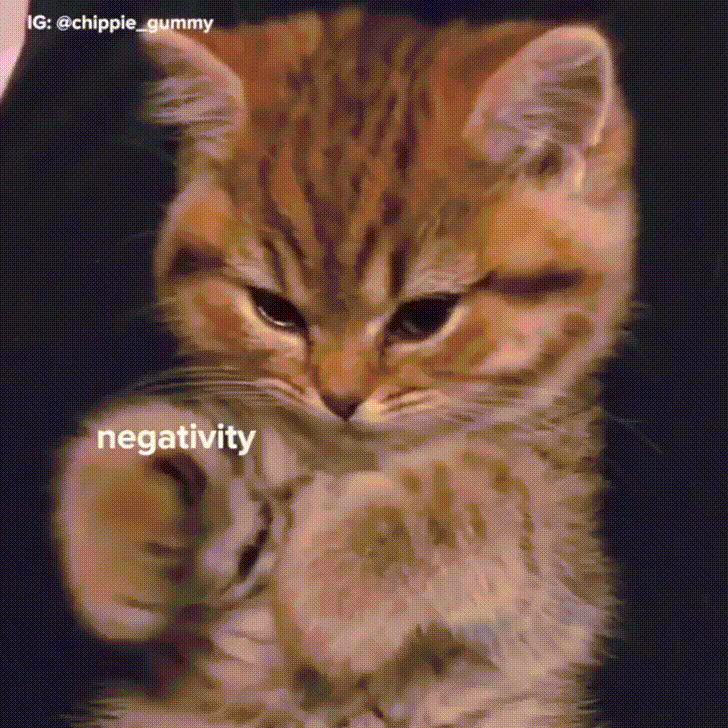 Positivity. Like this tote adorbs kitteh to our… | by Curdt Million | Medium