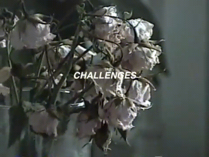 Challenges - alaina - Medium