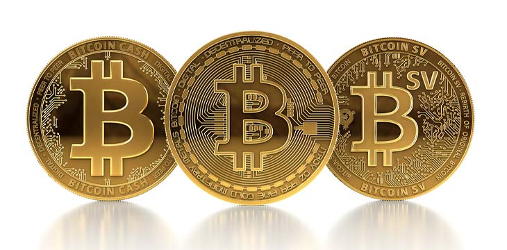 BTC, BCH & BSV Tokens in 2023. Welcome to the ultimate showdown of… | by Big Blockers | Medium