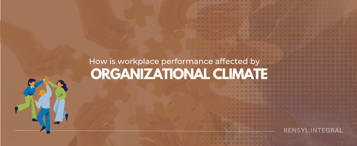 The Link Between Organizational Climate and Organizational Performance ...