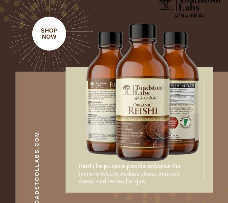 Buy Online turkey tail and chaga supplements - Toadstoollabs - Medium