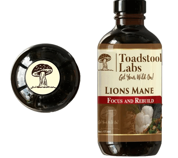 Lion’s Mane Herbal Supplement: Boost Brain Health with Toadstool Labs - Toadstoollabs - Medium