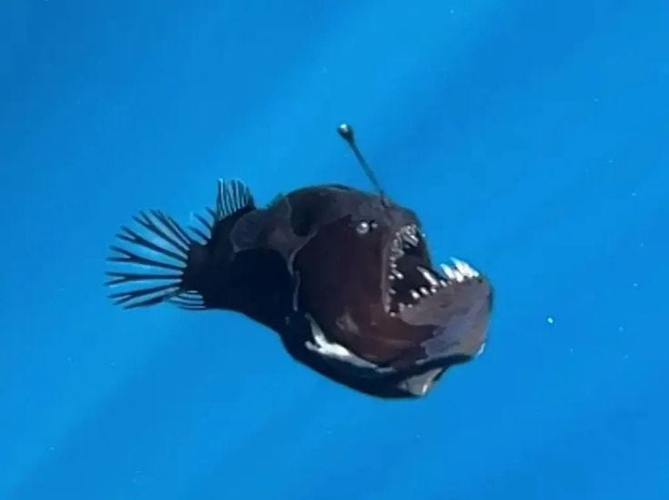 The Power of Rock Bottom: A Launchpad for Transformation | by Iaachemy | Mar, 2025 | Medium