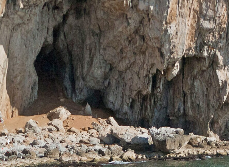 65,000-Year-Old Gibraltar Neanderthals Built an Oven for Making Glue | by All That History | Medium