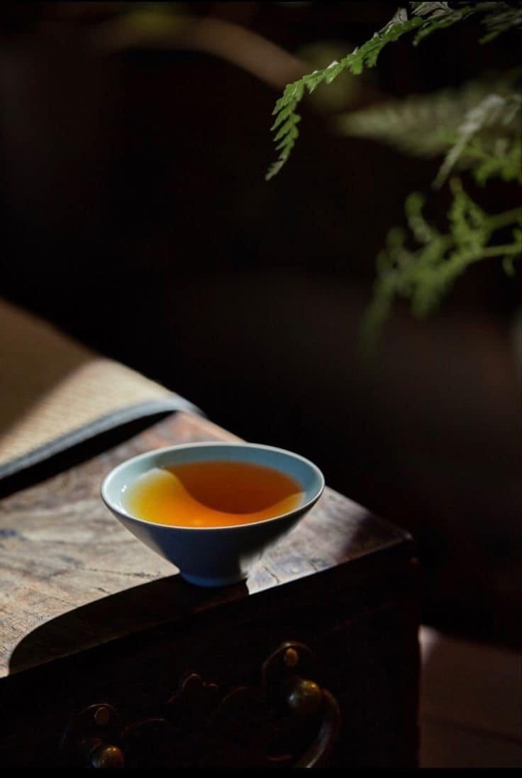 Multiplying the joy of drinking tea - Maitri for all - Medium