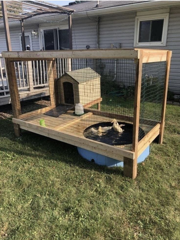 How to Build a Duck Coop: A Step-by-Step DIY Guide | by Crazy ...