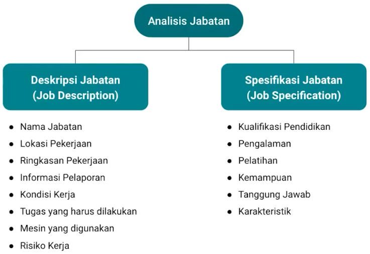 Forming a Job Description. HR Fundamentals Series from Human… | by My ...