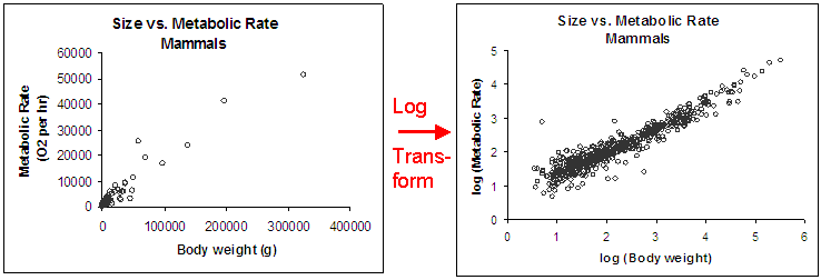 Transforming Axis in Data Analytics | by Olamidequzeem91 | Medium