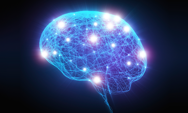 The brain studies itself. Sarayu | by Sarayu Bhumula | Medium