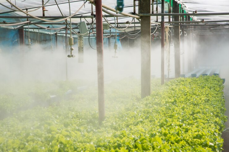 Unveiling the Power of Water Misters Revolutionizing Comfort and ...