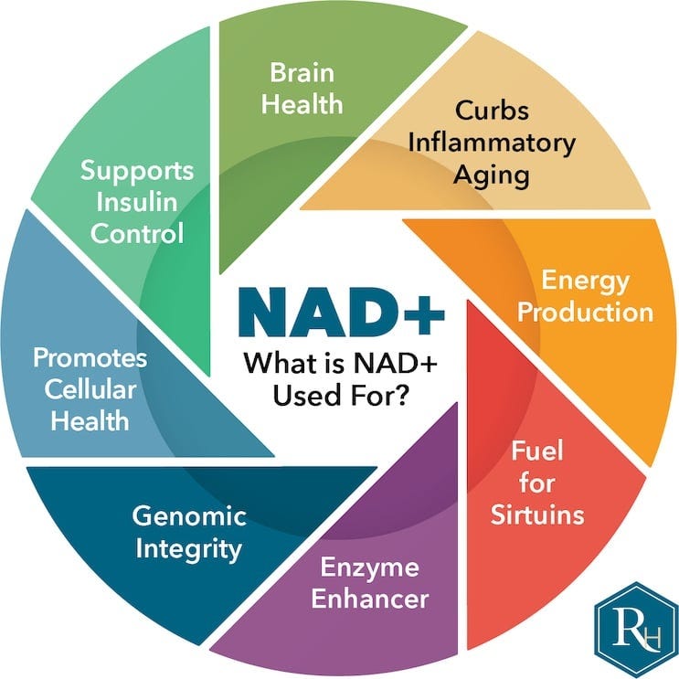 Understanding NAD+: The Essential Coenzyme for Cellular Health | by Do ...