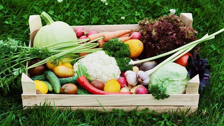 A Comprehensive Guide to Organic Farming Products: Enhance Your Harvest ...