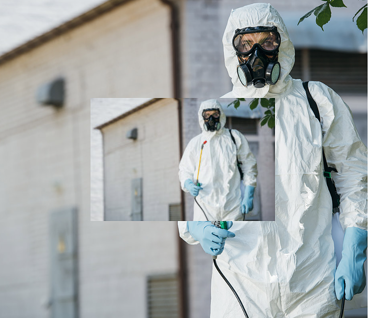 Reducing Pesticide Usage: Tips for Eco-Friendly Pest Prevention at Industries | by Donald Steven ...