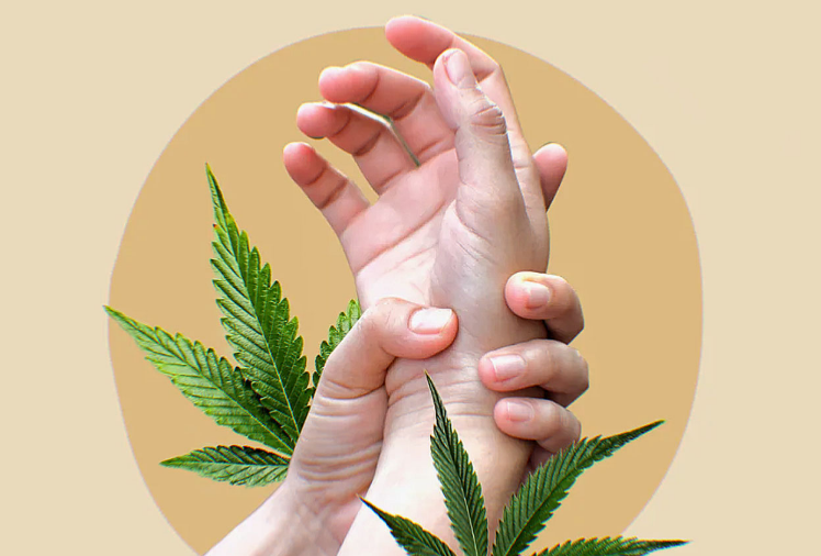 Bioheal CBD Gummies USA Deminish Joint Pain (Top Benefits & Facts) | by ...