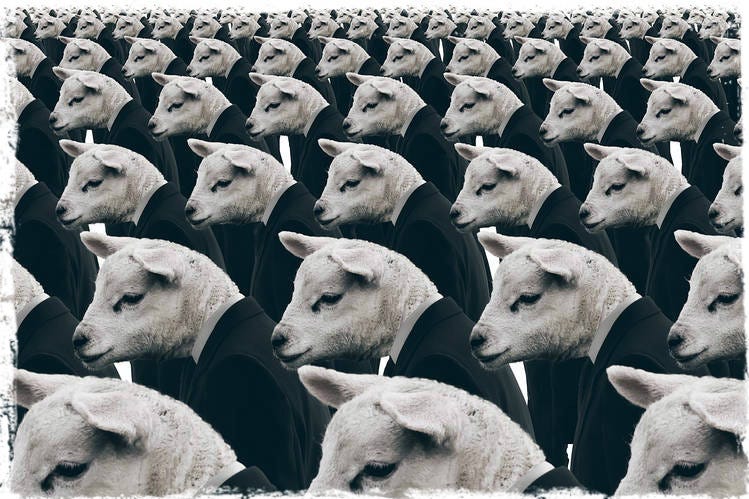 The Badness of a Good Education: how so many educated professionals ...