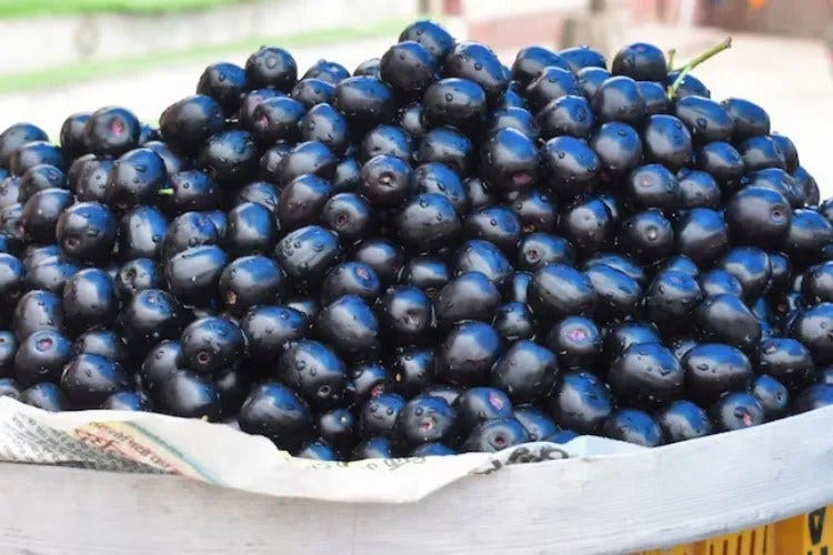 7 Health Benefits of Eating Jamun: Nature’s Gift to Your Well-being ...