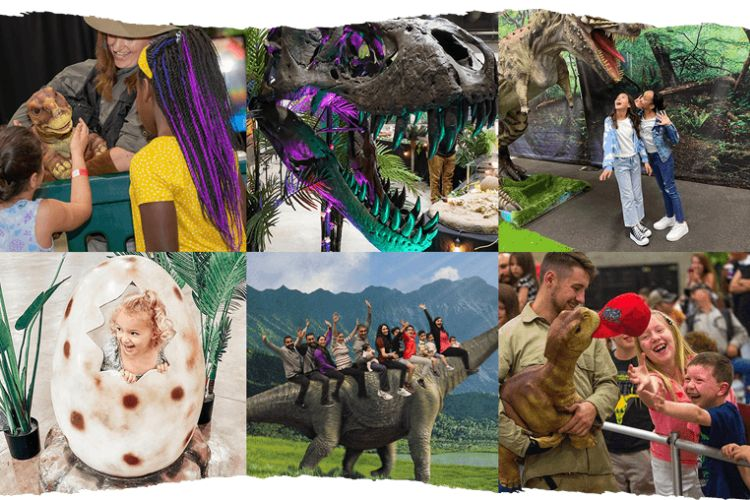 Discover a World of Adventure with 4Kids: Where Fun and Learning ...