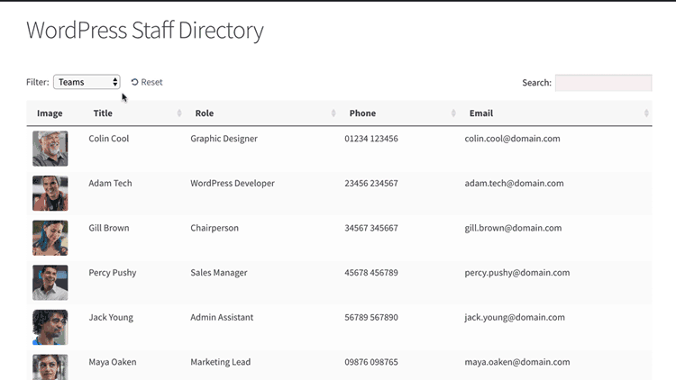 How Do I Add a Staff Directory in WordPress? Easy Guide | by Olivia | Aug, 2024 | Medium