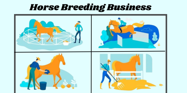 Start A Horse Breeding Business For beginners | by Francisco Antonio ...