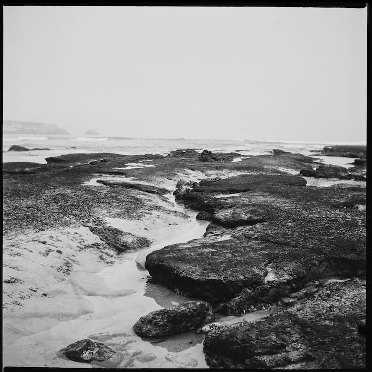 How to Convert an Image to Black-and-White Grayscale using Java | by Cloudmersive | Medium