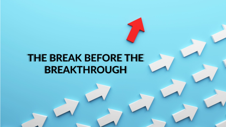 The Break Before the Breakthrough: The Entrepreneur’s Path to Success ...