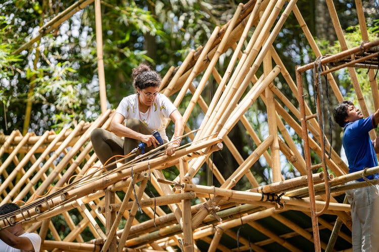 Green Skills in Demand: Can Carpentry Go Eco? K1 Carpentry Shows You ...