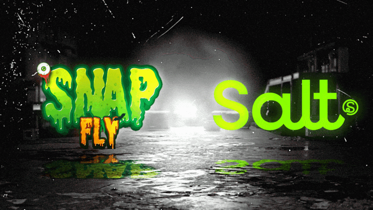 Salt X Snap Fly: Expanding Web3 Frontiers with Gaming and DeFi | by ...