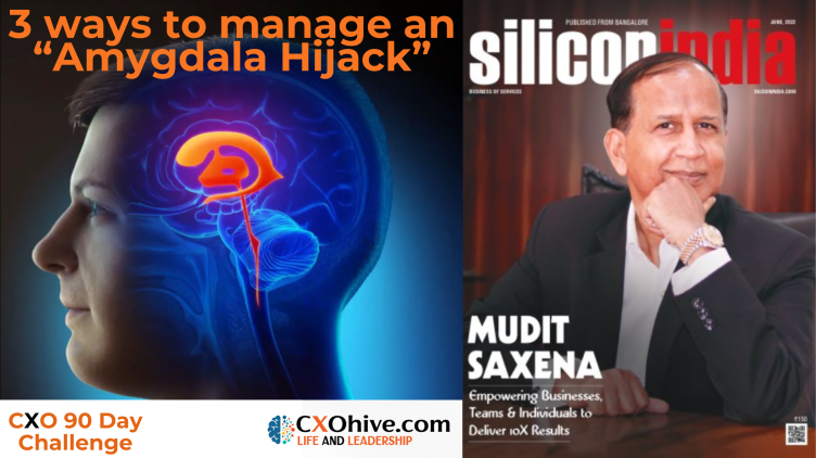 3 ways to manage an “Amygdala Hijack” | by Mudit Saxena, Global CXO ...