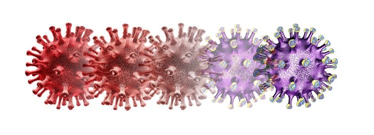 How much spend money on OMICRONE ? | by Zaibee Dhanpuri | Medium