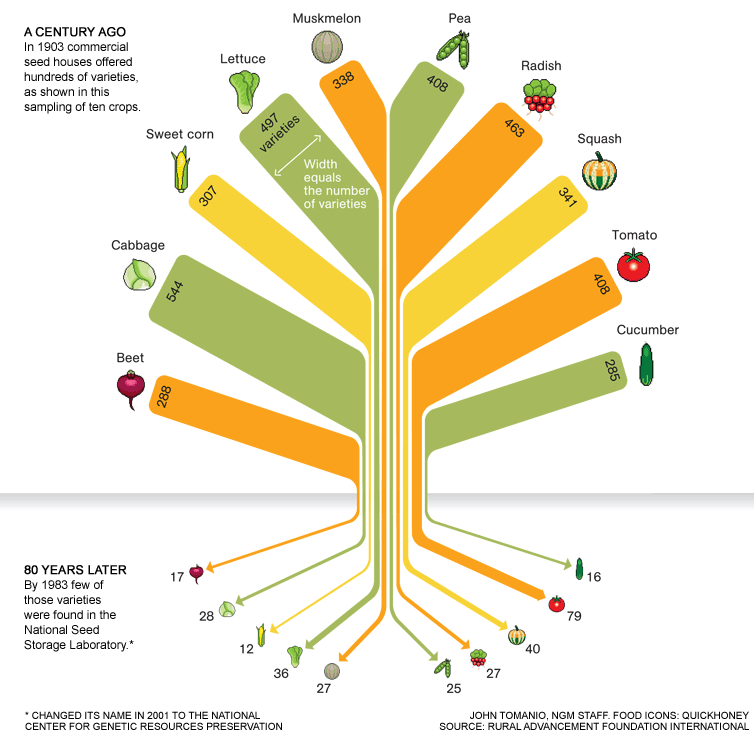 Importance of Genetic Diversity in Agriculture | by Chase James Krug ...
