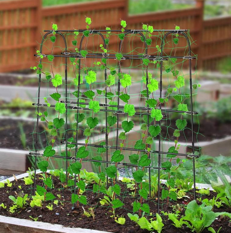 🕰️ 1 Framework That Can Help You Navigate Conversations | by Caroline | Medium