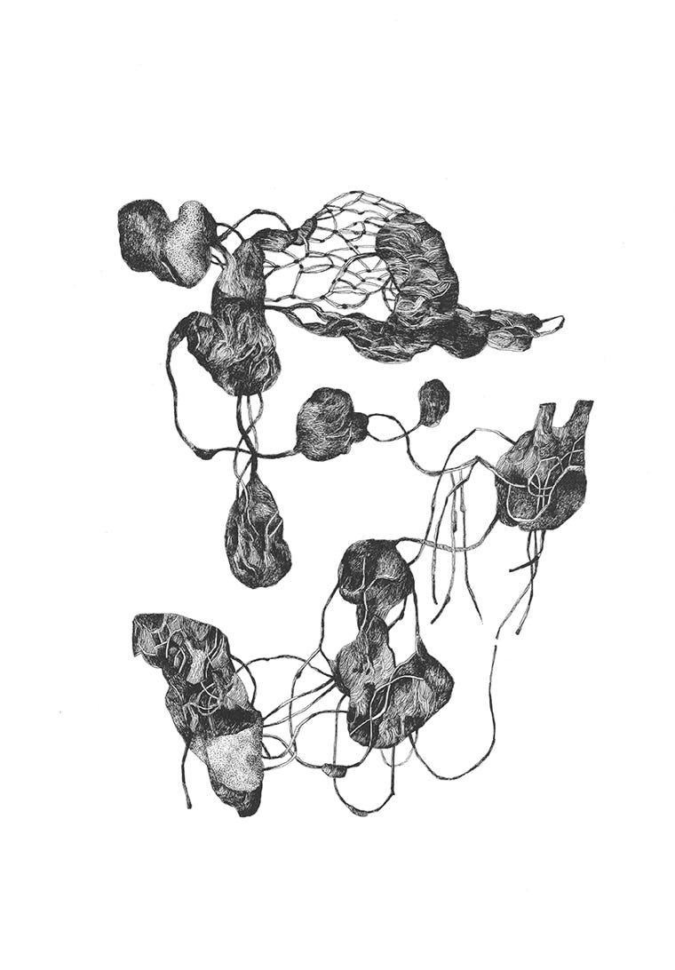 Nutrient Thieves or Soil Healers? The Truth About Fungal Partnerships ...