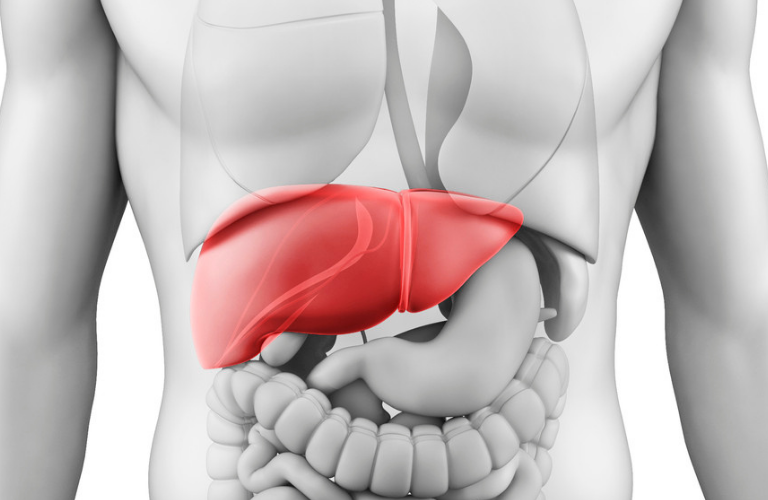 Life Expectancy After Liver Surgery | by SIDS Hospital | Medium