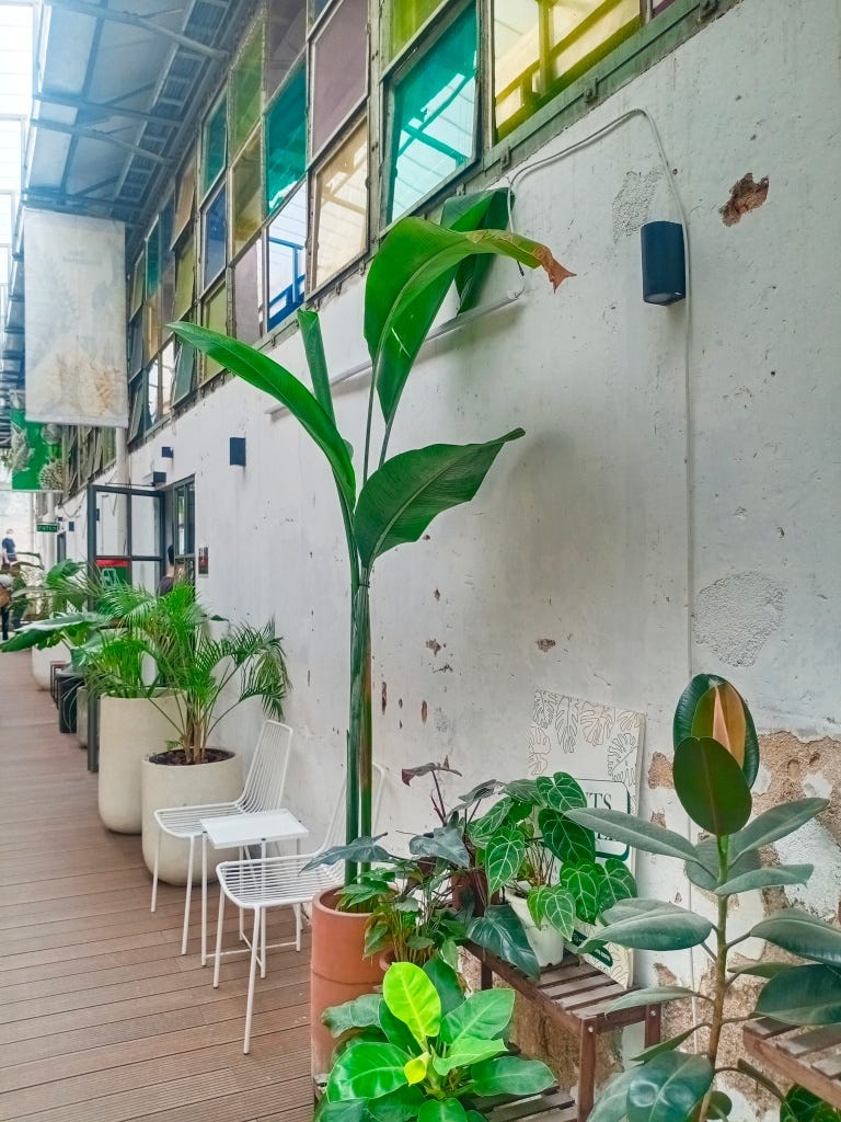 The Rewilded City. An ode to ugliness | by Kristine Harper | Southeast ...