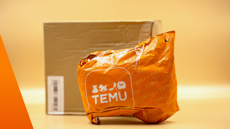 Surprises I Came Across While Shopping on Temu | by Shadowed Line ...