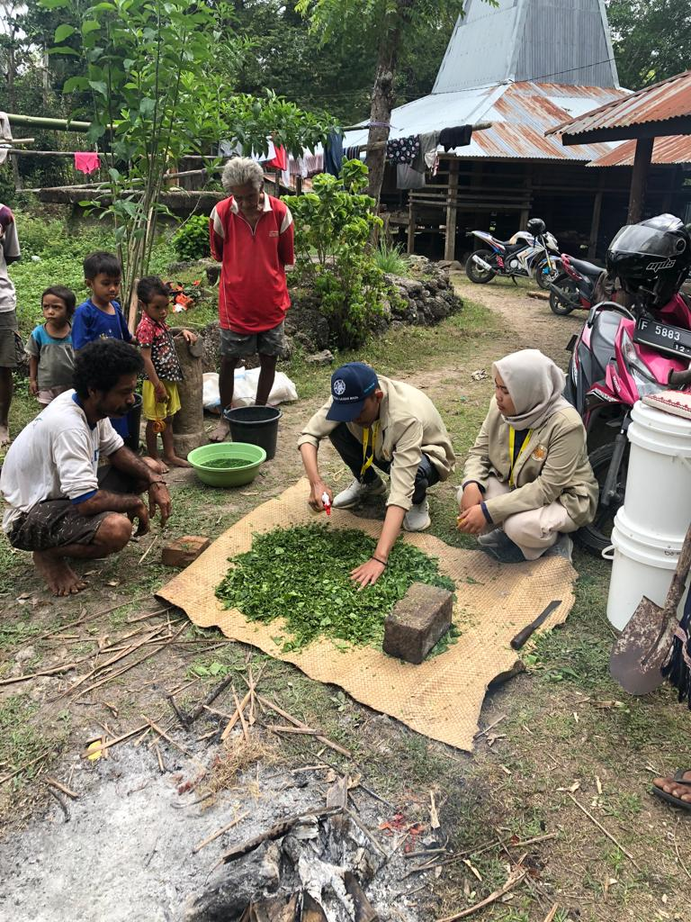 Pembuatan Pestisida Nabati untuk mencegah Hama dan Penyakit pada ...