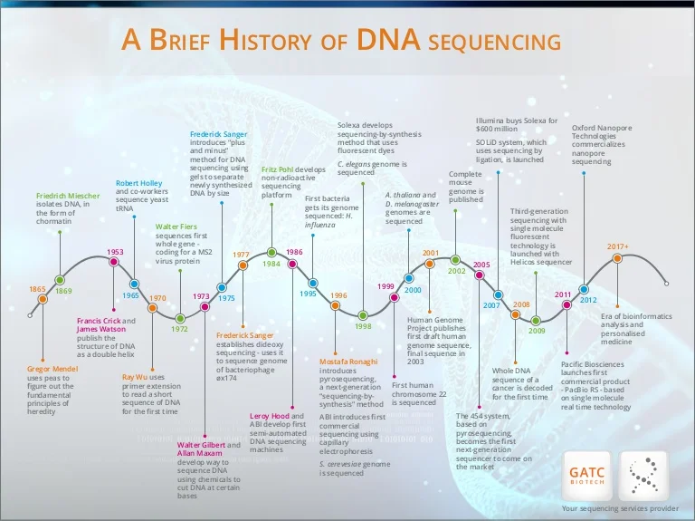 From Sequence to Discovery: The Essence of Bioinformatics in Genomic ...