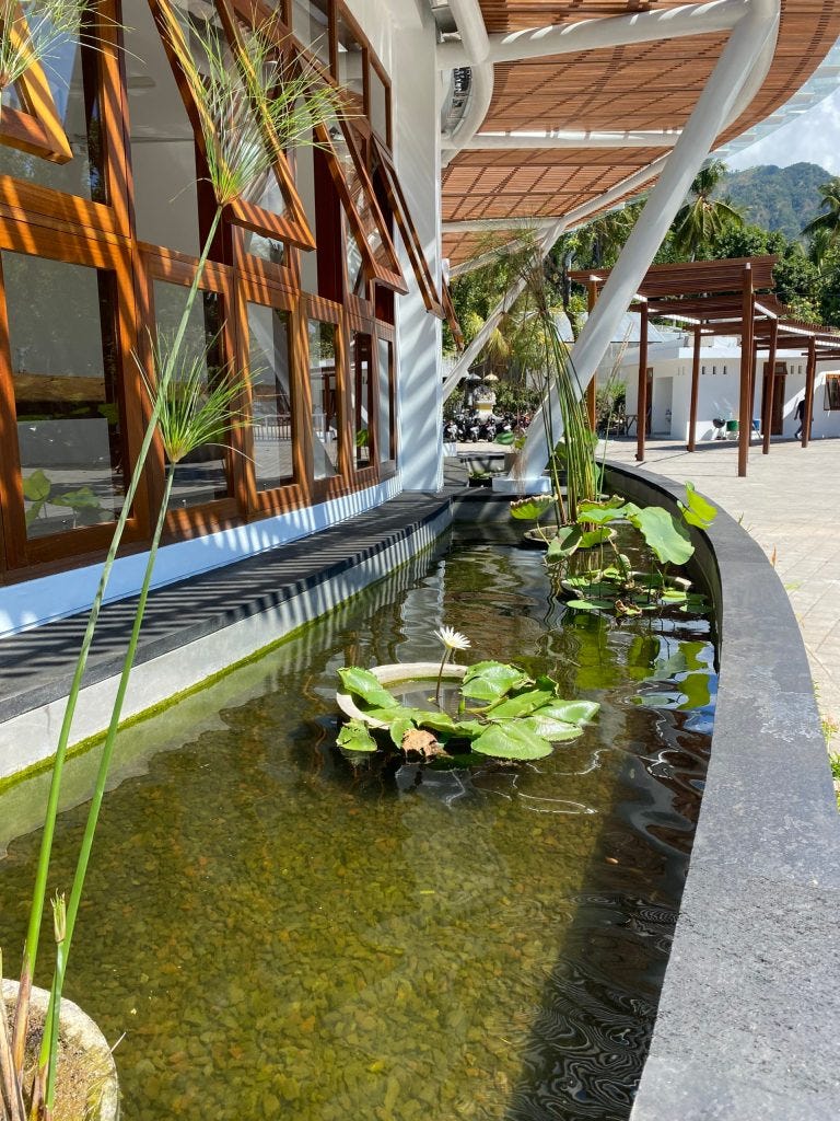 Permaculture Water Design in Bali | by Isabela Valencia | Medium
