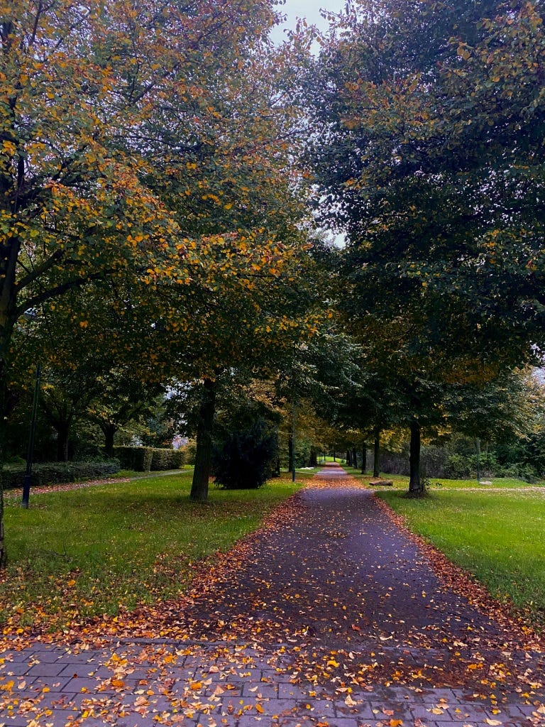 Travel trip to Autumn — with the Girl on the other Side | by Su Elysium | Jan, 2024 | Medium