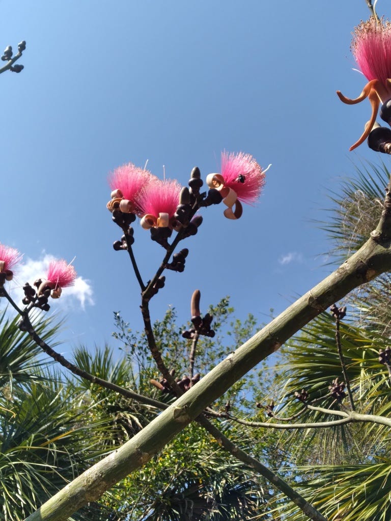 The Codependency Prevention Plan. What is Codependence? Codependence is ...