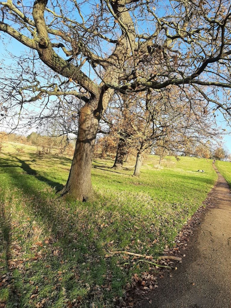 Mistakes and their — usefulness to us… | by Kounselling com | Medium