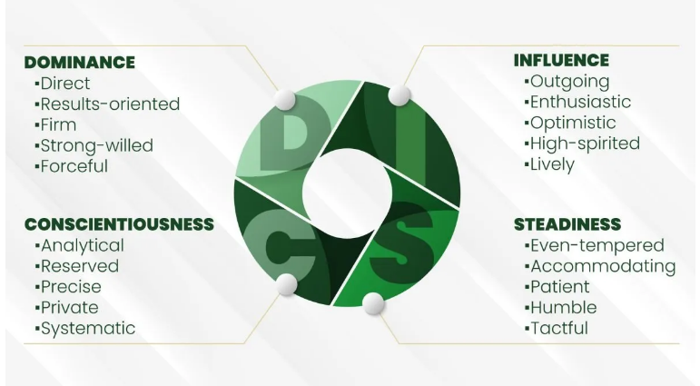 Understanding the DISC Profile: A Comprehensive Guide | by Ranker X ...