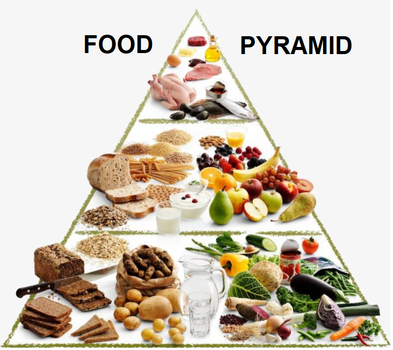 WHAT IS THE FOOD PYRAMID?. Getting to know the food pyramid | by Beauty ...
