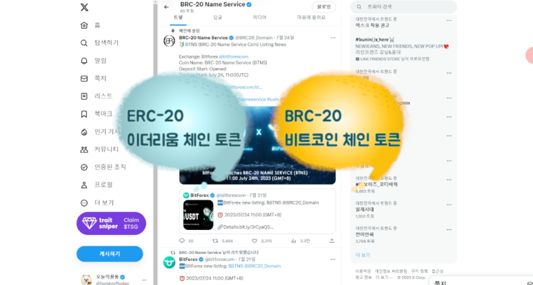 Preminting a BRC-20 Name Service Domain and Receiving $BTNS Token ...