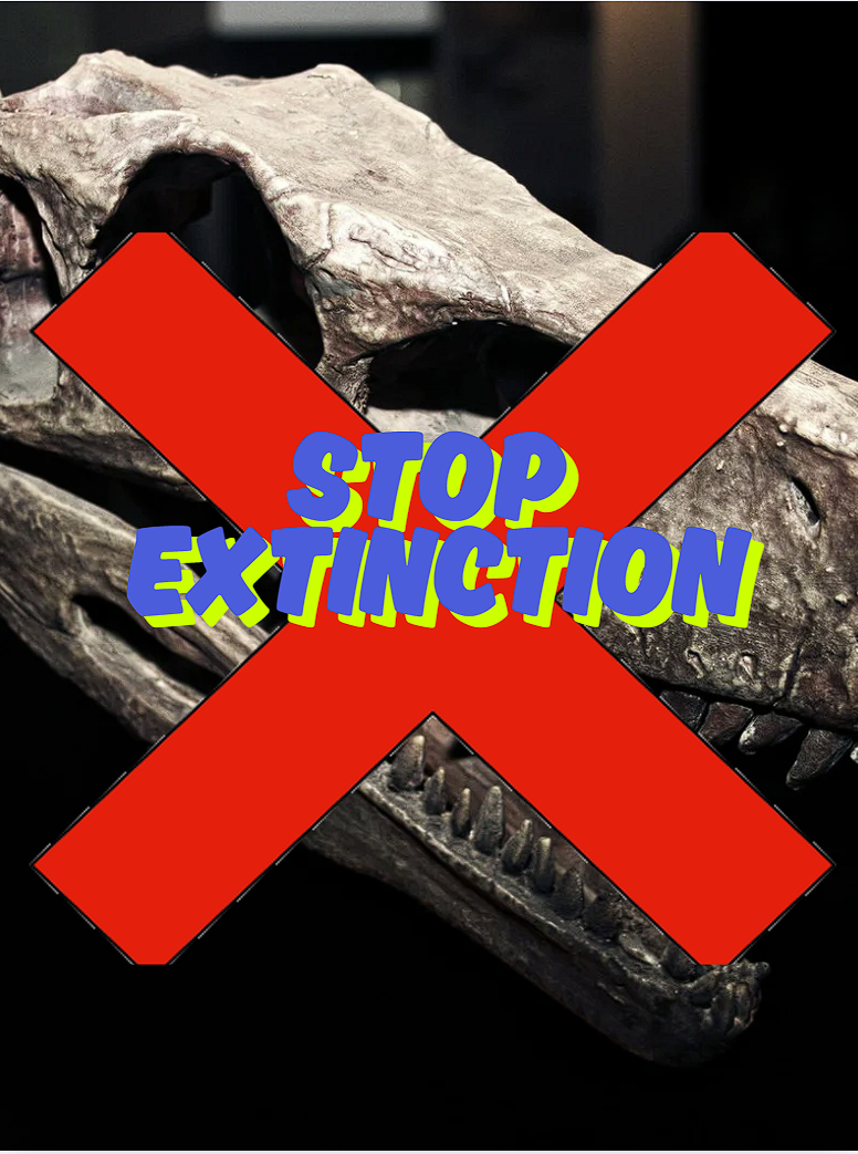 Stop Extinction. Imagine a world where the roar of a… | by Akash Chand ...