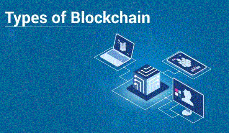 Understanding the Different Types of Blockchain Networks | by ...